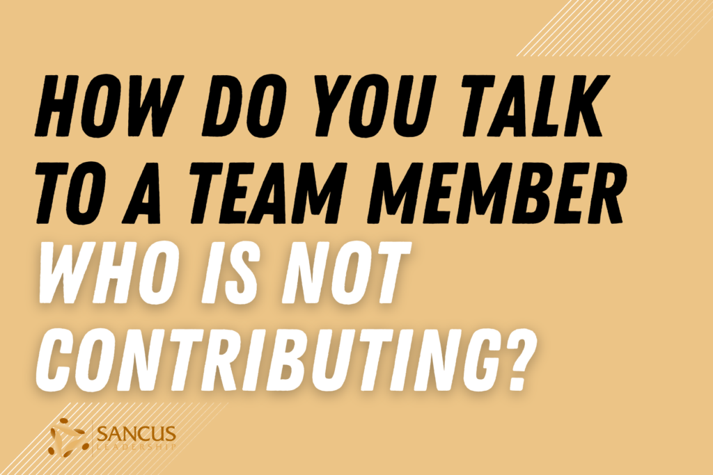 How Do You Talk to a Team Member Who Is Not Contributing? – Sancus ...